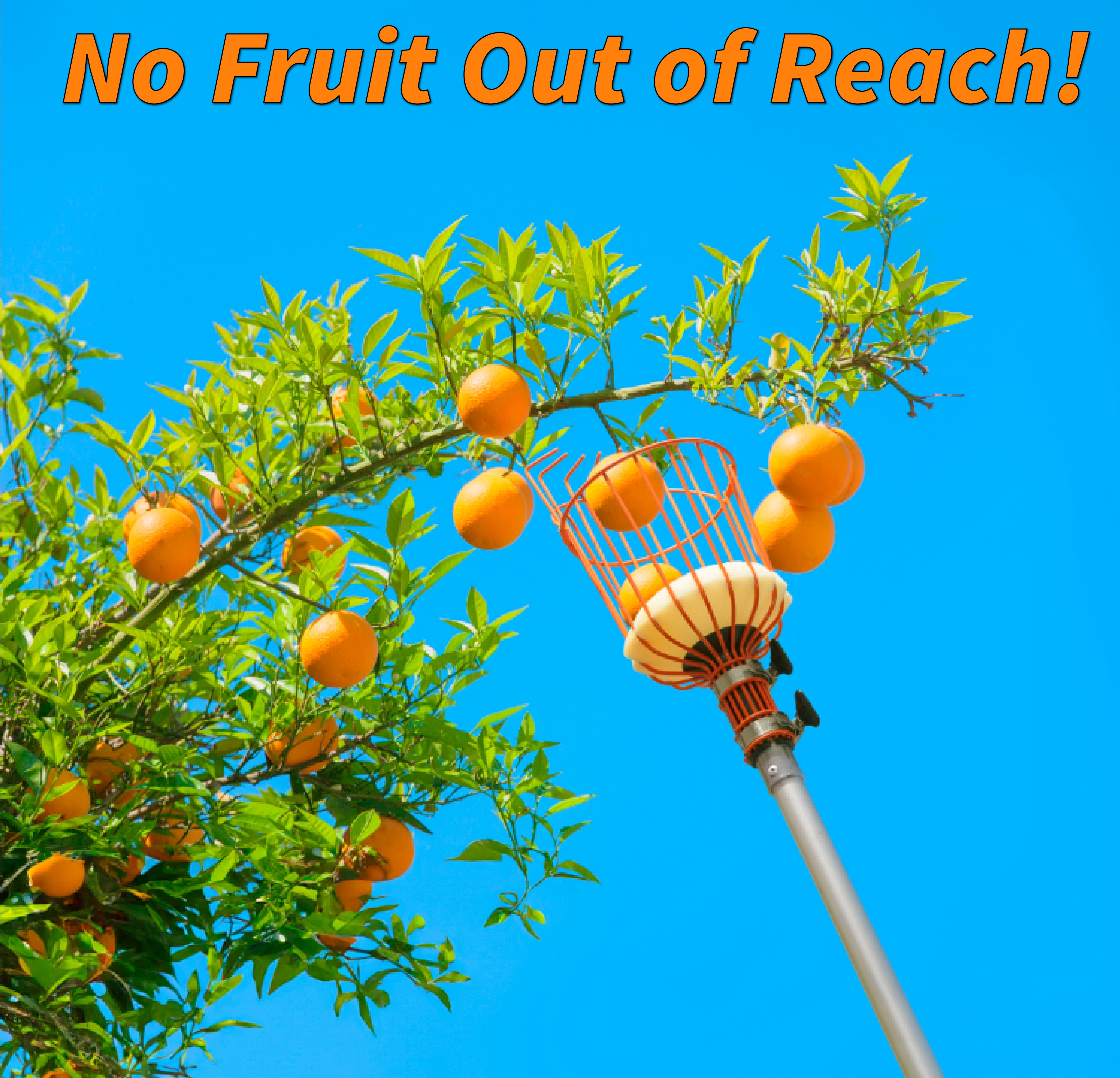 Fruit Picker Pole with Basket Telescoping