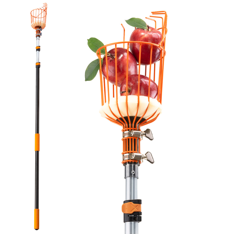 Fruit Picker Pole with Basket Telescoping
